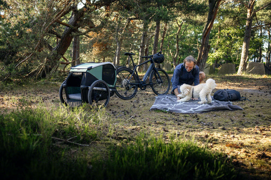 Thule Bexey Dog Bed - Large – Stash Cycles