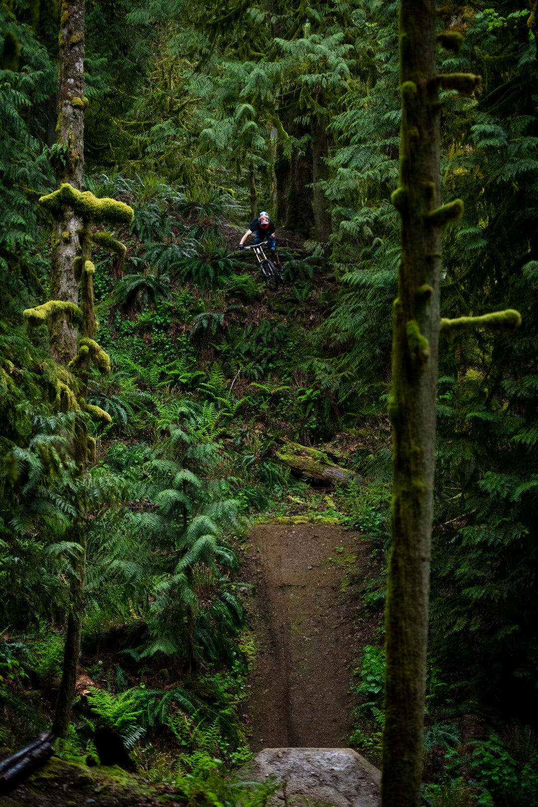 About Us – Stash Cycles