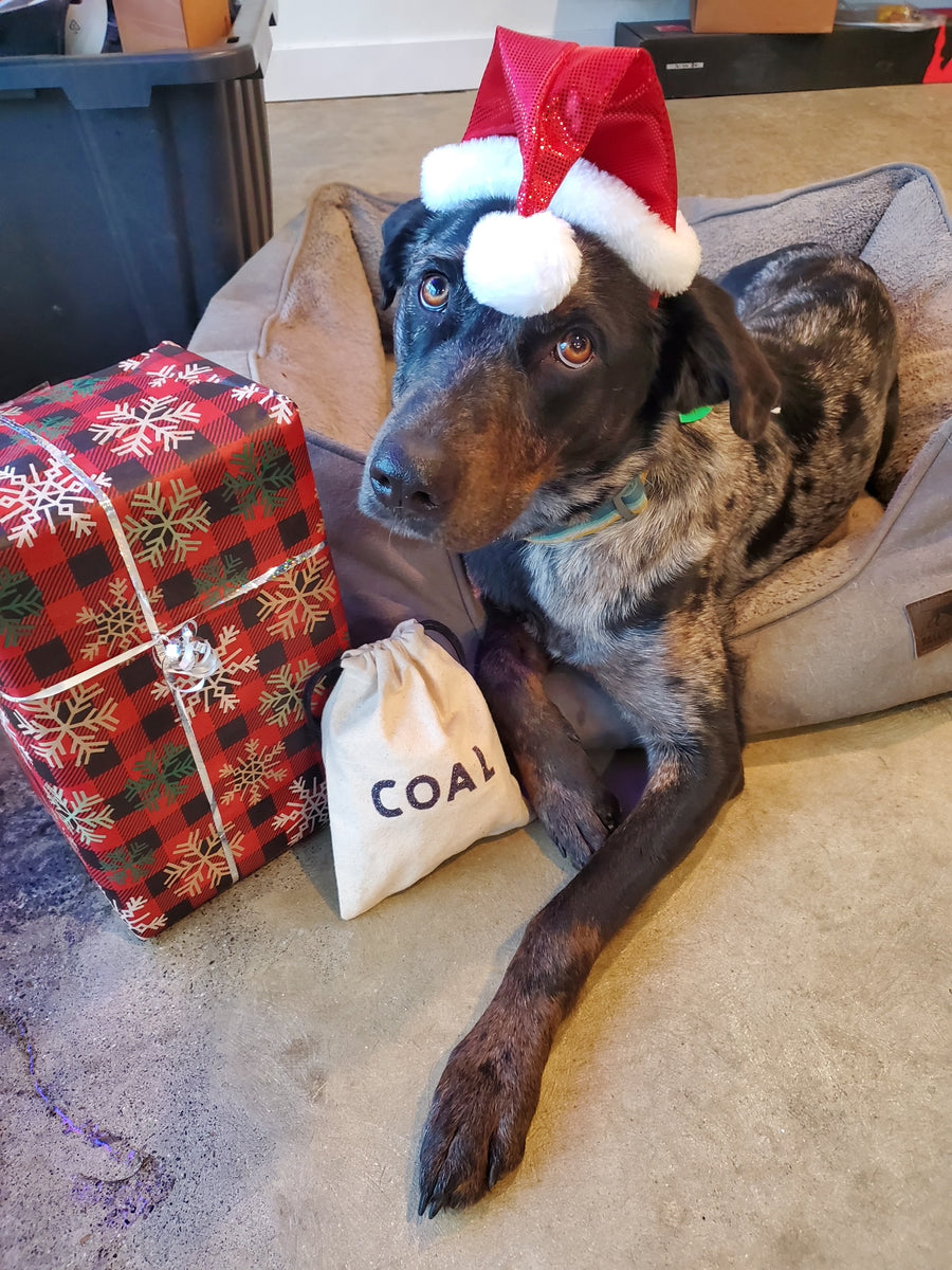 Stash Cycles Gift Card